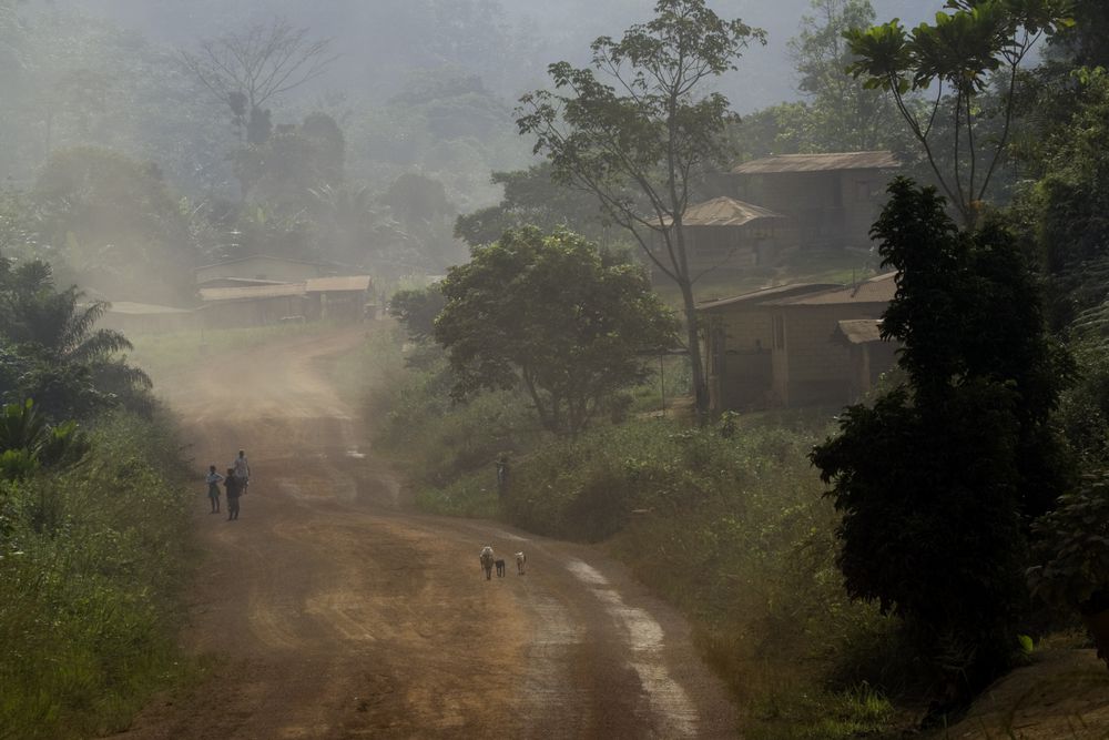 Gabun Reise - Entdecken Sie das unberührte Naturparadies | itravel.de